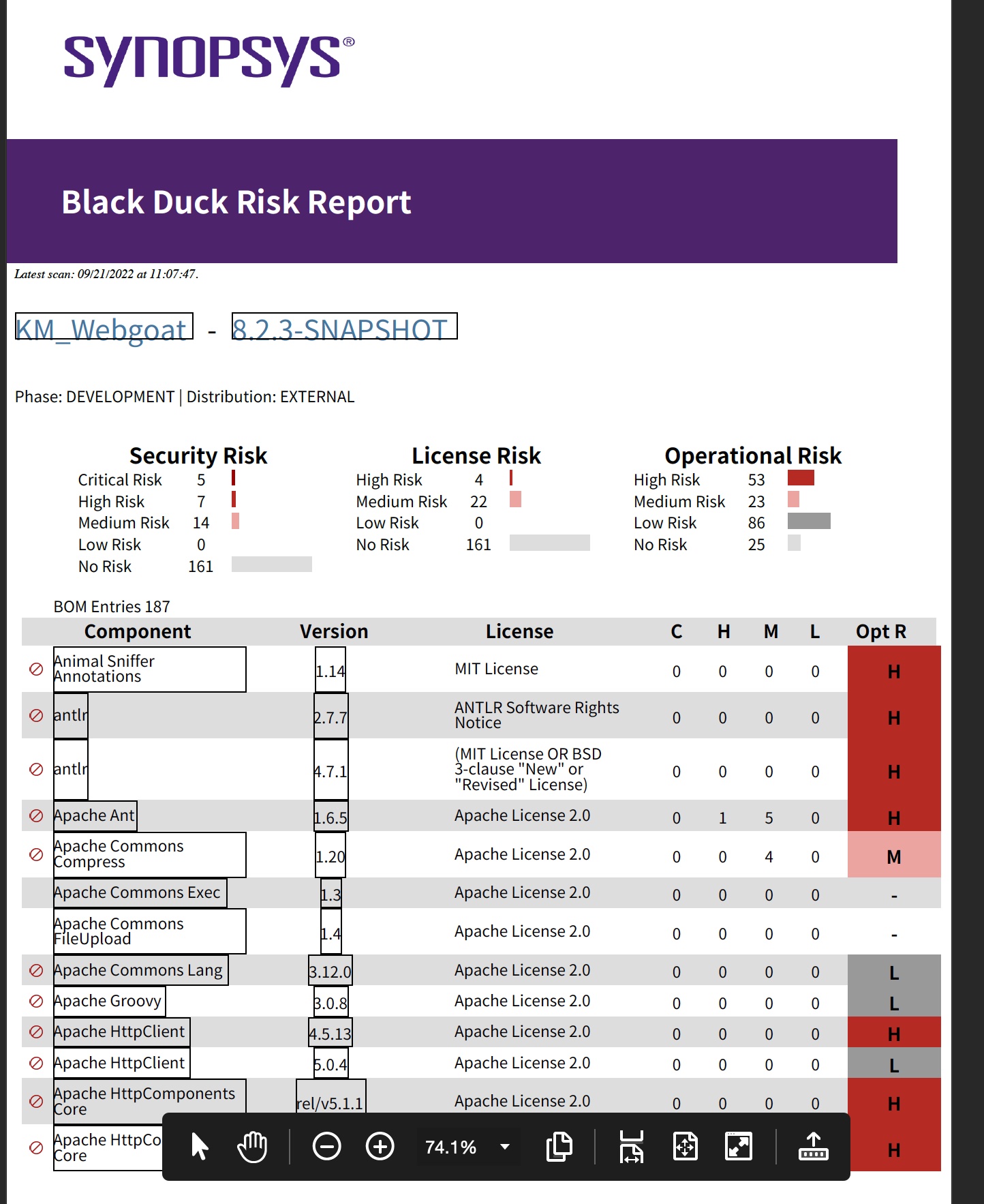 Adobe Acrobat Reader Shows Rectangles around Links in Blackduck Risk Report (PDF)
