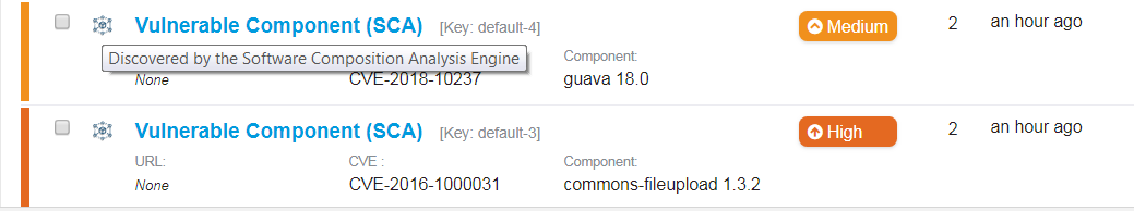 Viewing Vulnerabilities In Seeker 0475