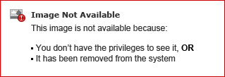 Black Duck Cannot Configure Custom Certificates With Docker 2010x