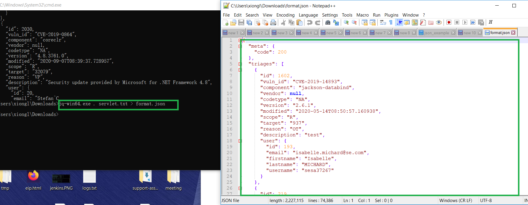 Handle the jSON data from the BDBA report