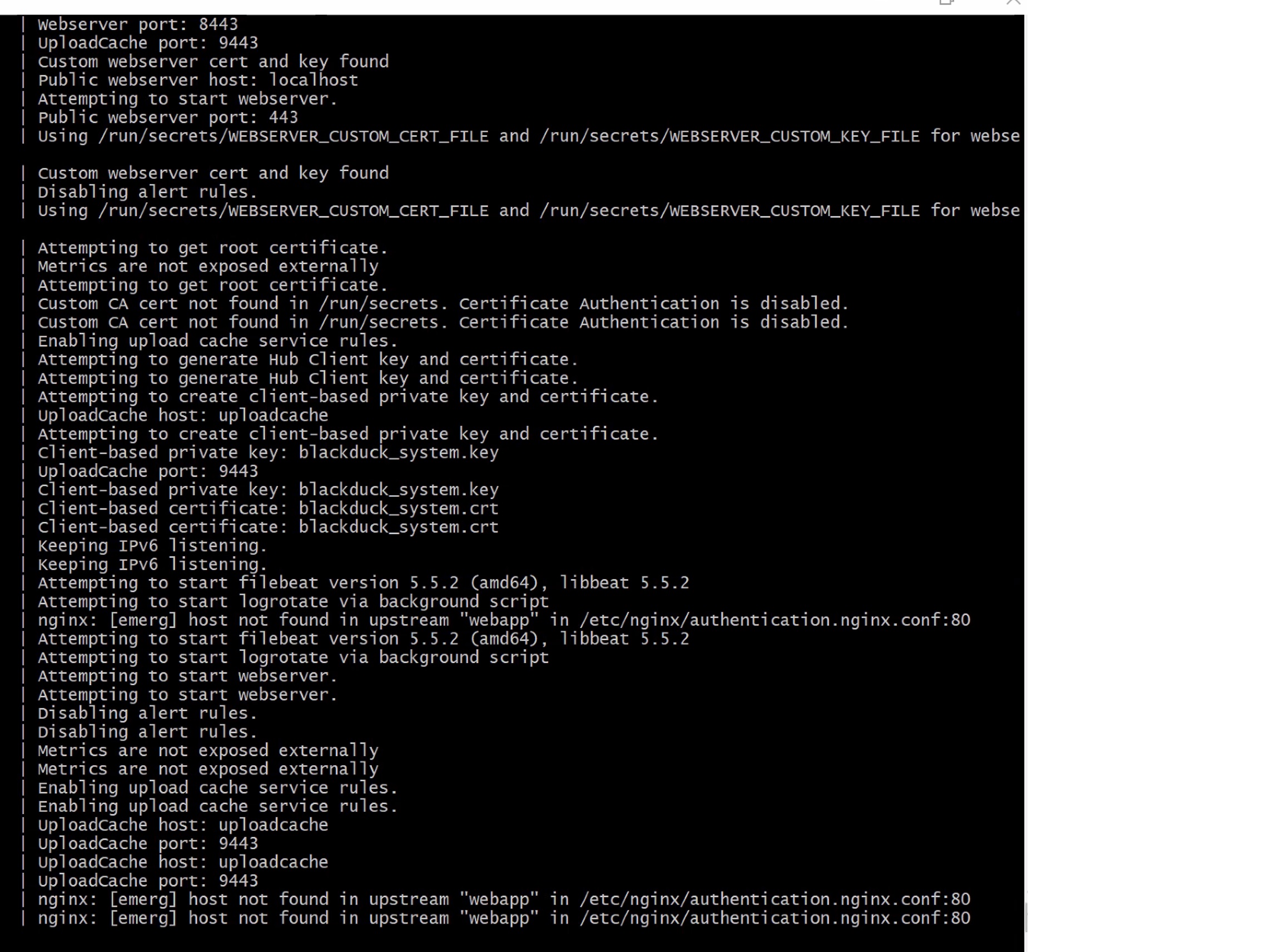 Black Duck Cannot Configure Custom Certificates With Docker 20 10 X
