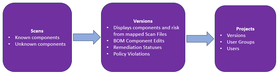Black Duck - Core Entities Guide
