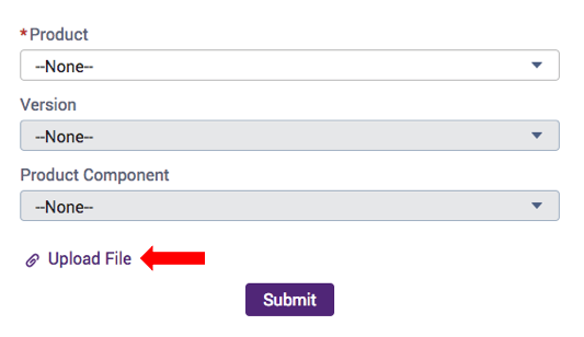 Support Case Management FAQ